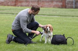 LAND ROVER ACCESSORIES - Range Rover - INTERIOR - PET PRODUCTS